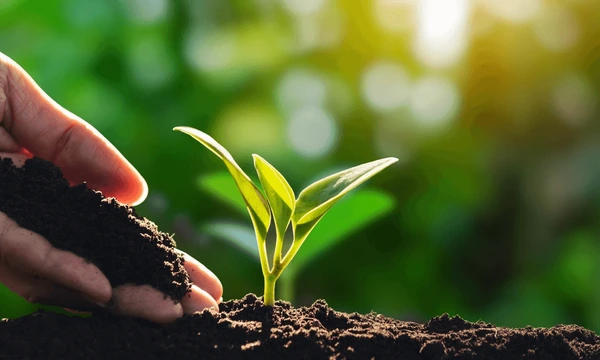 Global Green Project - Home